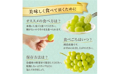【2024年発送分 先行受付スタート！】岡山県産シャインマスカット「晴王」 秀品 大房 （約2kg・2～5房程度）（令和6年8月中旬以降発送