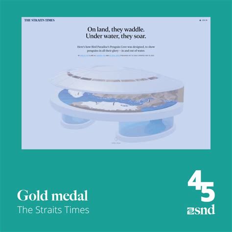 Claire Xu On Linkedin Snd45