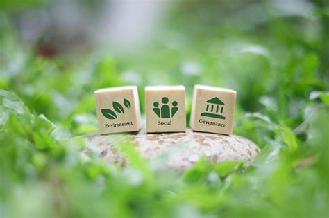 Esg 개념 환경 사회 및 거버넌스 나무 블록에 Esg라는 단어는 지속 가능한 기업 발전을위한 개념입니다 환경 사회 및 훌륭한