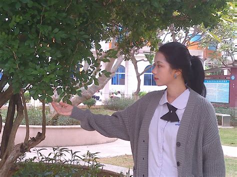 校运会之青春女主