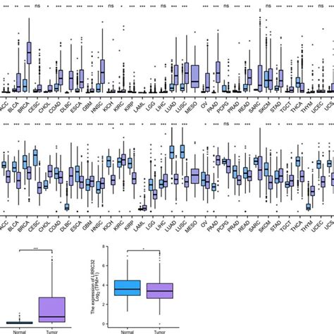 Box Diagram For Lrrc15 And Lrrc32 Expression Pan Cancer Analysis After