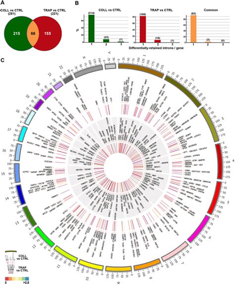 Differential Intron Retention Analysis A Venn Reporting