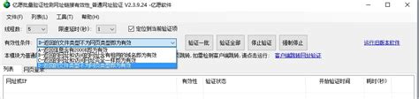 亿愿批量验证检测网址链接有效性极速批量网址检测存活工具dayf001的博客 Csdn博客