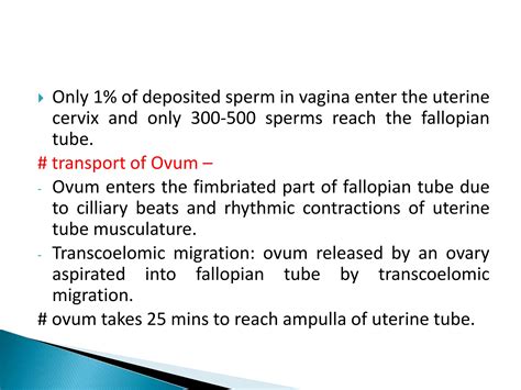 Embryology Fertilization And Cleavage Ppt