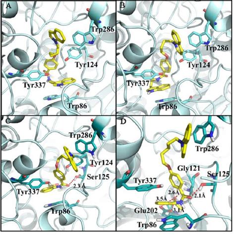 The Simulated Binding Modes Of Four Representative Compounds A Part