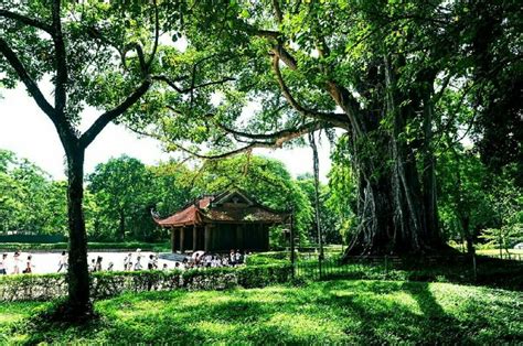 GiỚi ThiỆu VỀ Khu Du LỊch Lam Kinh Thanh HoÁ Pu Luong Excursions