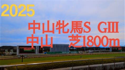 【中山牝馬s 2025】 荒れる牝馬のハンデ重賞‼️ 中山or非根幹適正がある馬を狙い撃て‼️ 今週も土曜日メイン重賞予想やります🐴 競馬予想