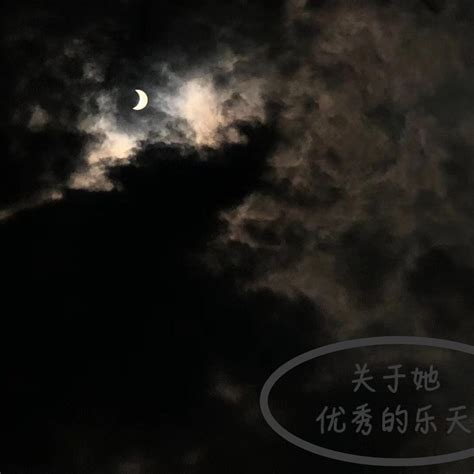 泡沫（杨树人） 鹤仙儿lucky One 单曲 网易云音乐
