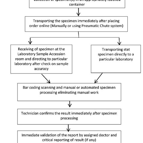 revised framework to improve the workflow efficiency in the laboratory
