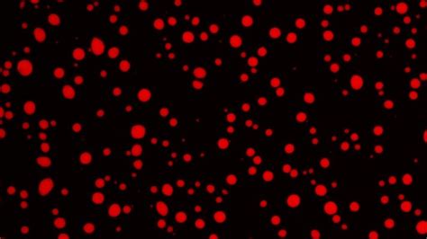 The Universality Of ‘phase Separation In Proteins Iitbombay