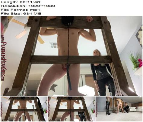 Goddess Platinum Stockade Double Nut Destruction Femdom Cbt