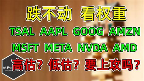Tslaaaplgoogamznmsftmetanvdaamdnflx