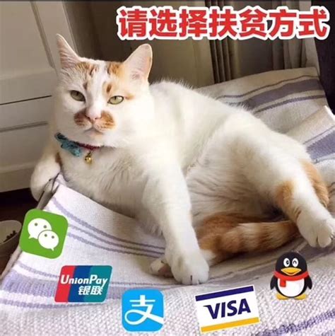 Python代码示例：python实现微信小程序的多种支付方式python第三方支付流程 Csdn博客