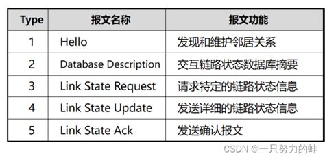 二、ospf协议基础ospf静默接口 Csdn博客