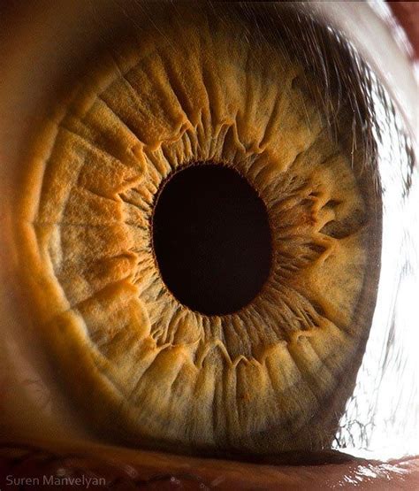 21 Fotos Impressionantes Do Olho Humano