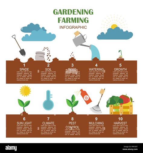 Gardening Work Farming Infographic Graphic Template Flat Style