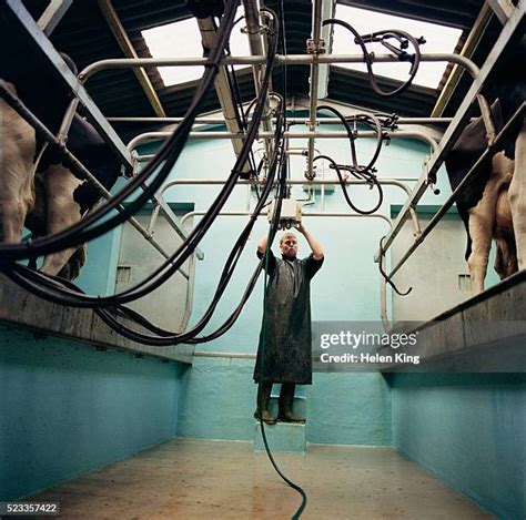 Milking Machines Photos And Premium High Res Pictures Getty Images