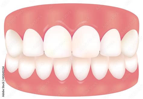 Stock Vector Adobe Stock
