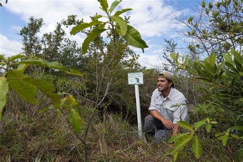 FPL Biologist Dedicates Life To Endangered Species