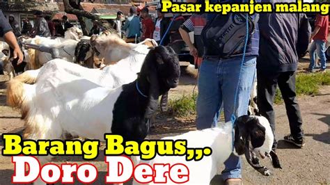 UPDATE HARGA KAMBING HARI INI DI PASAR HEWAN KEPANJEN MALANG MINGGU APRIL YouTube
