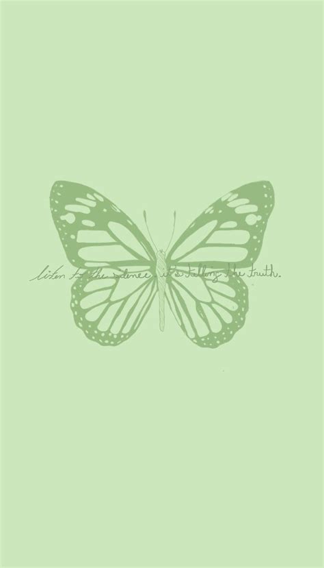 Butterfly Wallpaper Зеленые обои Зеленые цветовые схемы Картинки снега