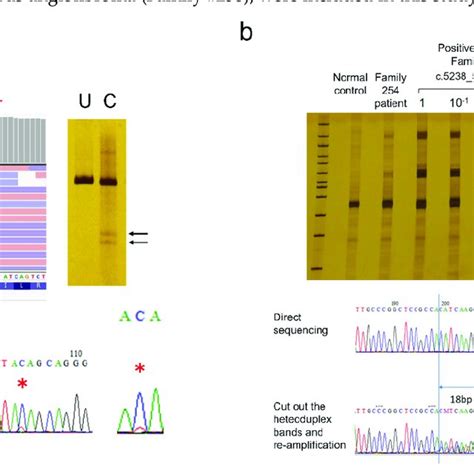 Examples Of Mosaic Analysis A Tsc1 Mosaic Mutation Download