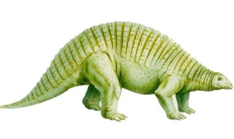 Dinosaur Train Nodosaurus