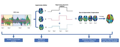 Structure Function Relationships Brain Networks Laboratory Raj Lab