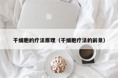 干细胞的疗法原理（干细胞疗法的前景） 莱利赛养生知识大全博客
