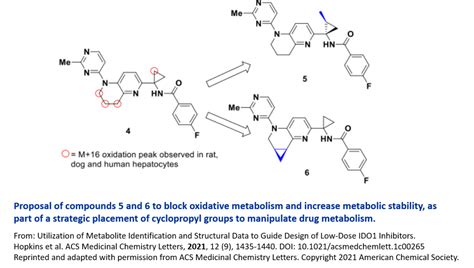Metabolism Of Cyclopropyl Groups Hypha Discovery Blogs
