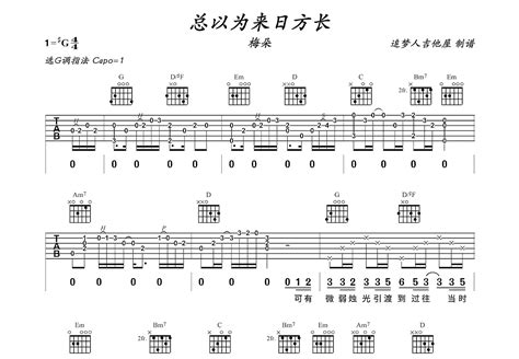 总以为来日方长吉他谱梅朵g调弹唱84专辑版 吉他世界