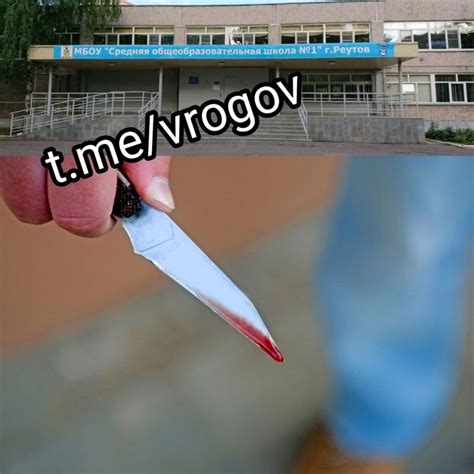 Владимир Рогов Массовое убийство теракт в подмосковной школе планировал устроить подросток из