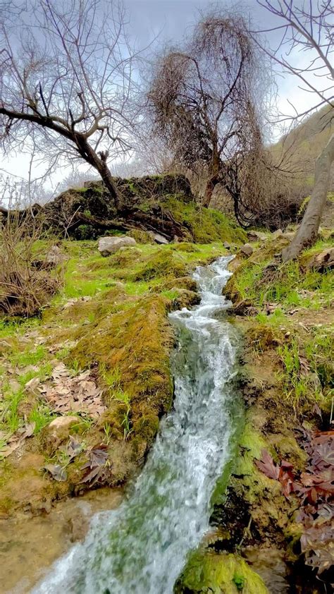 سروشتی باڵەكایەتی Scenery Country Roads Outdoor