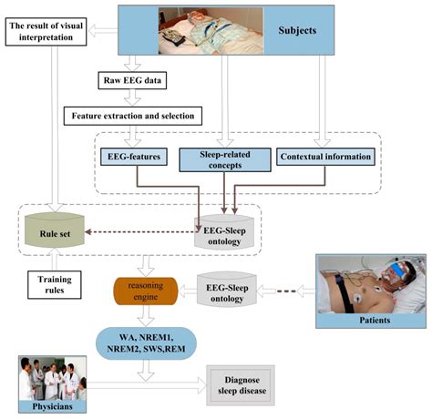 Symmetry Free Full Text Ontology Based Decision Support Tool For Automatic Sleep Staging