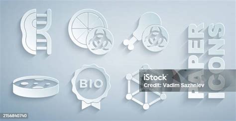 바이오 건강 식품 Gmo 연구 닭고기 박테리아 Gmo 유전자 변형 오렌지 및 고기 아이콘이 있는 페트리 접시에 대한 라벨을