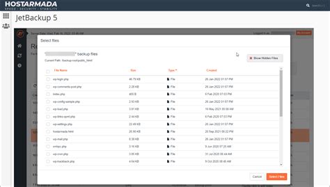 How To Restore The Files For Your Website With JetBackup 5 HostArmada