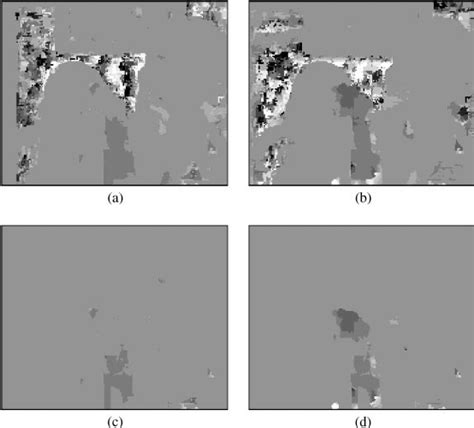 motion field estimation of the frame 76 77 of the ‘‘mother and