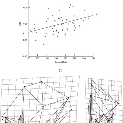 Principal Components Analyses Of The Tangent Space Coordinates A