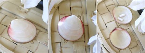 Clam Shell Pill Box Nora Murphy Country House