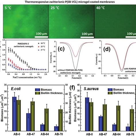 A Photographs Of Dual Thermoresponsive Zwitterionic Microgel Showing Download Scientific
