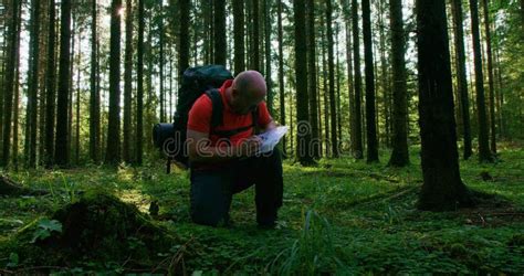 Active Man Hiker Navigates Using Map And Compass In Beautiful Forest At