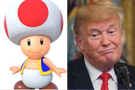 Stormy Daniels Says That Donald Trumps Penis Looks Like Toad From