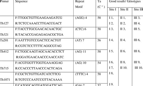 The Primers Used And Genotypes Selected To Ssr Markers Download Table