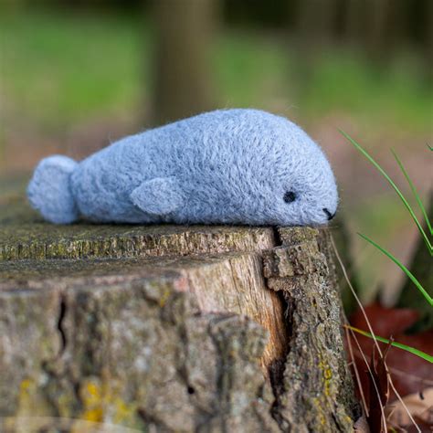 Seal Felting Kit — Thorsten Van Elten
