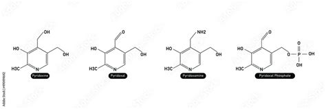 Pyridoxal Phosphate Pyridoxal Pyridoxamine Pyridoxine Chemical