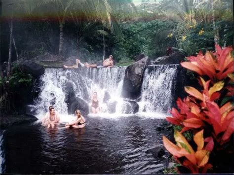 PPT Modern Protist Diversity PowerPoint Presentation Free Download ID