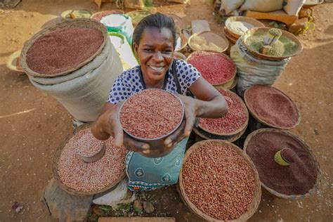 Icrisat Awarded 2021 Africa Food Prize Africa Food Prize