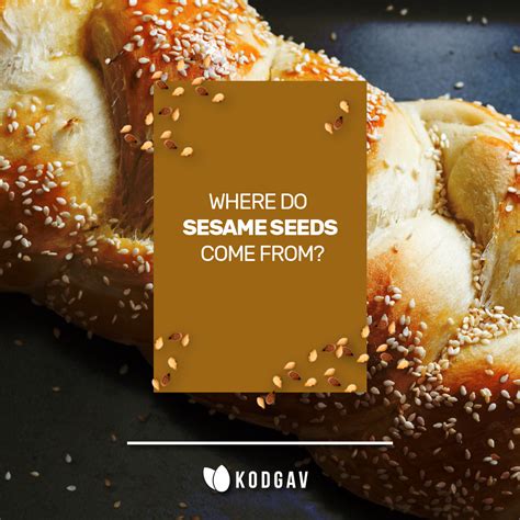 Where Do Sesame Seeds Come From