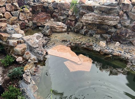 Building A Turtle Pond Pond Trade Magazine