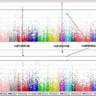 Manhattan Plot Displaying The Genome Wide Results Log10 P Of The Download Scientific